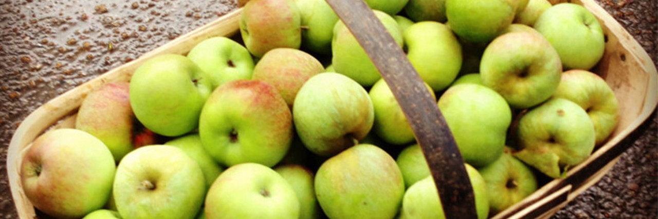 The Garden Cider Co | Buy direct on EeBriaTrade | Nationwide Drinks ...